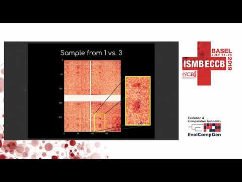 Large-Scale Mammalian Genome Rearrangements... - Krister Swenson - EvolCompGen - ISMB/ECCB 2019