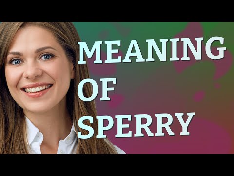 Sperry | meaning of Sperry