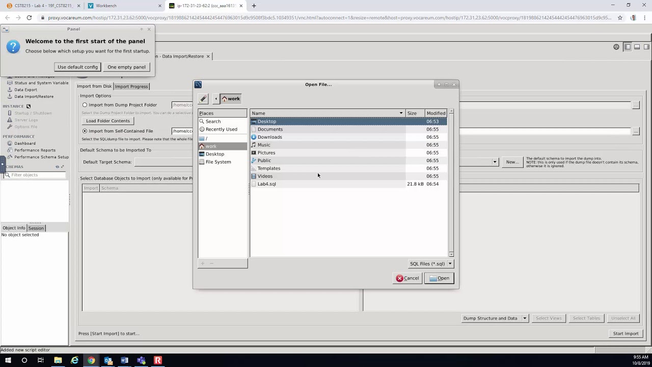 CST8215 - Getting Started with Lab 4