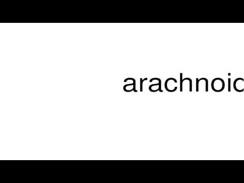How to pronounce arachnoiditis
