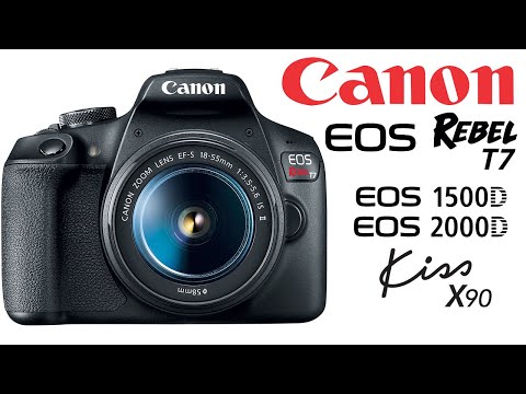 7 PHOTOGRAPHY TIPS FOR BEGINNERS - Canon EOS Rebel T7 / EOS 1500D