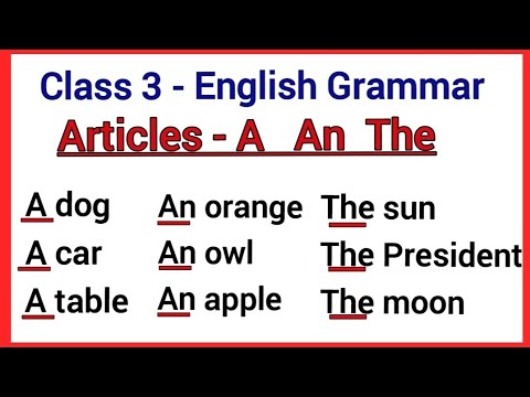 Articles a an the/Articles a an the worksheet/articles a an the for class 3/english grammar articles