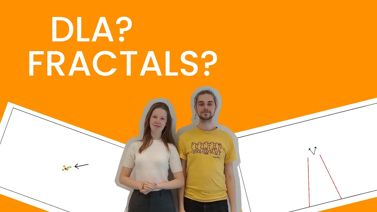 Fractals from a Diffusion Limited Aggregation (DLA) model