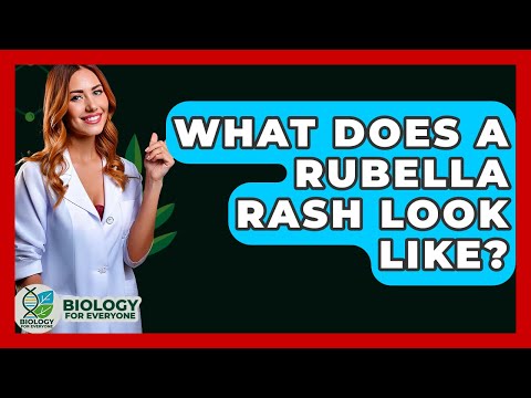 What Does A Rubella Rash Look Like? - Biology For Everyone