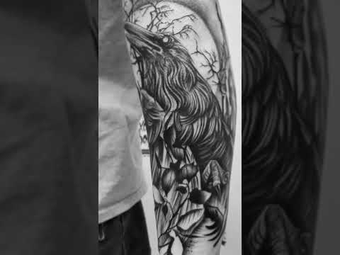 #essentials #raventattoo #raven #ravens #traditionaltattoos #blacktattoo #traditional