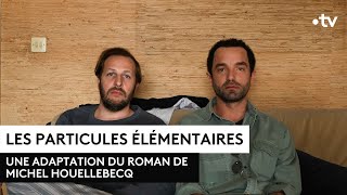 Regarder Les Particules élémentaires en streaming