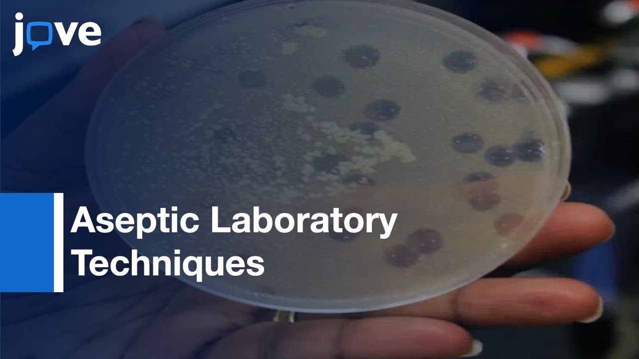 Aseptic Laboratory Techniques: Plating Methods l Protocol Preview