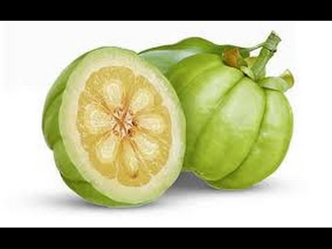 what is hca in garcinia cambogia