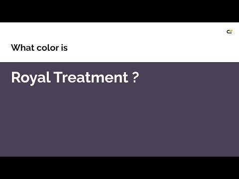 Royal Treatment color #494256 hex color - Violet color - Warm color 494256