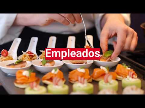 Todo lo que necesitas saber sobre el servicio de catering