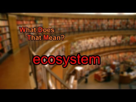 What does ecosystem mean?