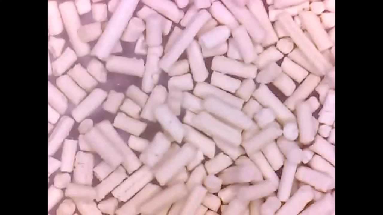 Levaduras en acción