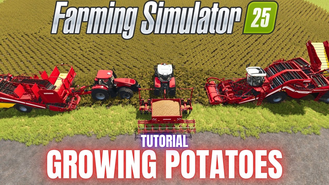 How to Grow Potatoes in FS25: Full Step-by-Step Guide - FS25