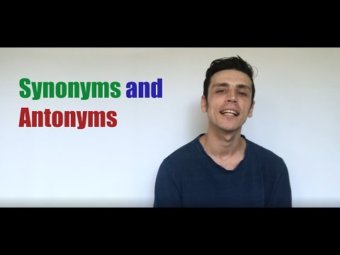 Synonyms and Antonyms
