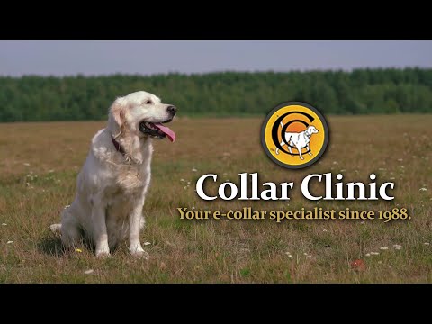 GPS Collars for Dogs - Collar Clinic - GPS Collars for Dogs