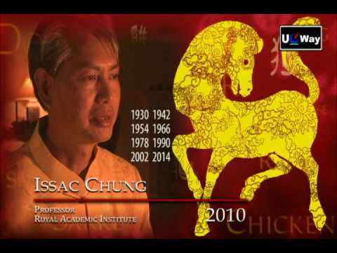 2010 Chinese new year predictions for 12 animals - horse