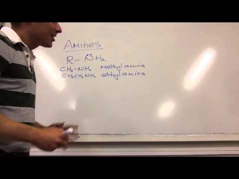 A2 introduction to amine chemistry from www.ChemistryTuition.Net