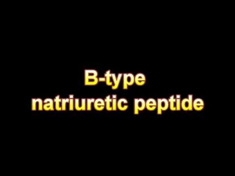 What Is The Definition Of B type natriuretic peptide Medical Dictionary Free Online