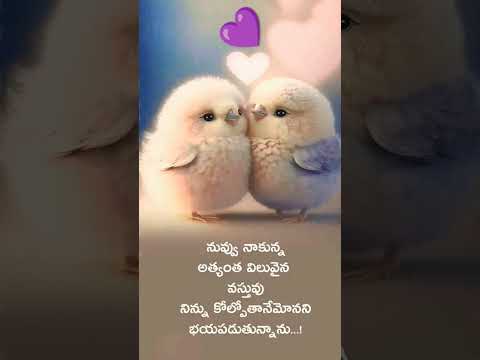 amma 🙏🫂💓💓💓💓💓💜💜💜🙏😍🥰 peaceful sound ❤️