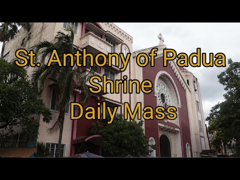 Daily Mass - St. Anthony of Padua Shrine Sampaloc Manila Tuesday, October 27, 2020
