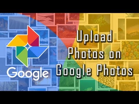 How To Upload Pictures on Google Picasa | Add Photos on Google Photos