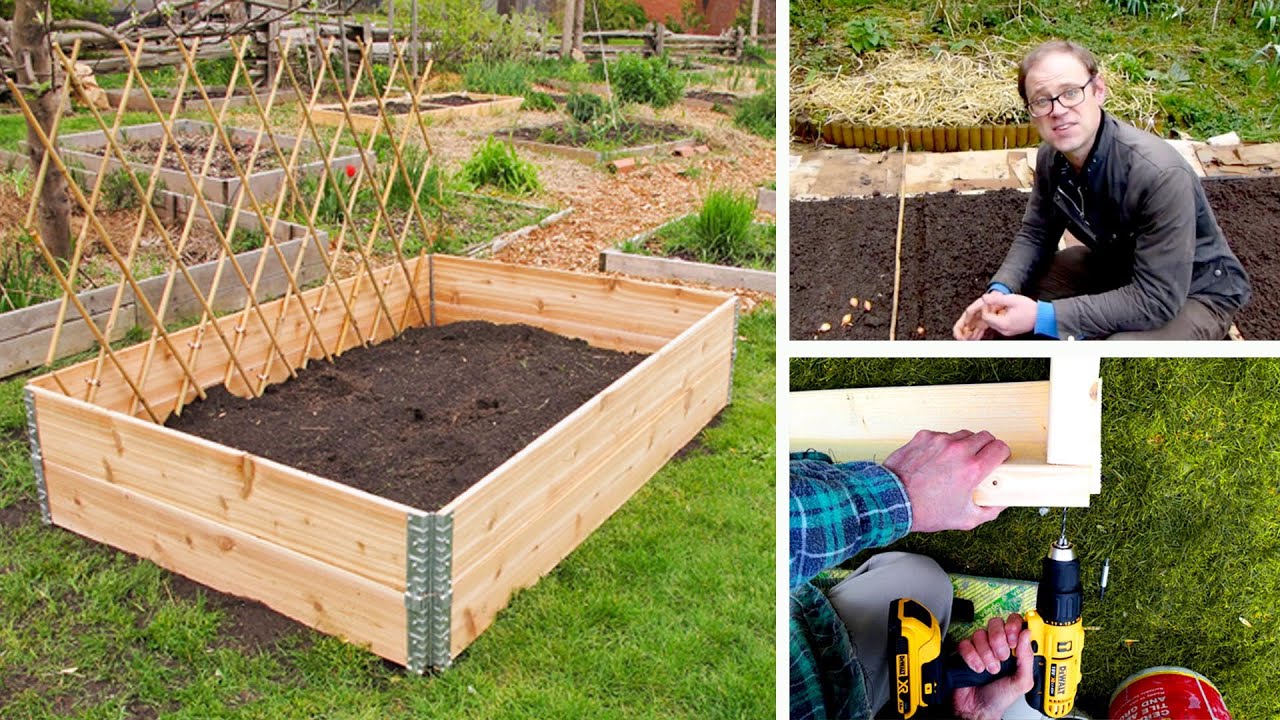 How to Build a Raised Bed Step-by-Step