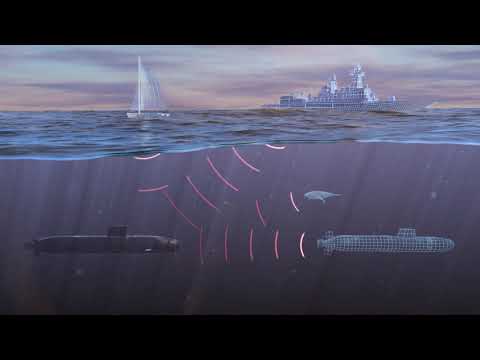 #MoreToSea - All the mysteries about sonar