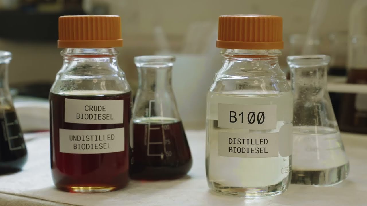Part II: Biodiesel 101: What Is Biodiesel, Who Uses It & How Is It Produced
