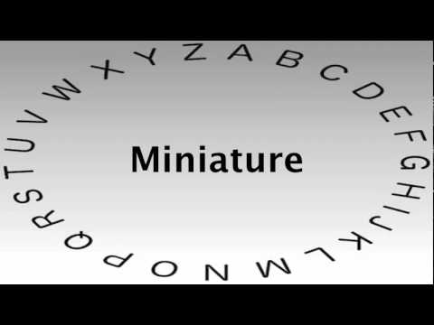 SAT Vocabulary Words and Definitions — Miniature