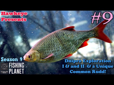 Steam Community :: Video :: Fishing Planet S9 #9 - Dnipro Exploration I ...