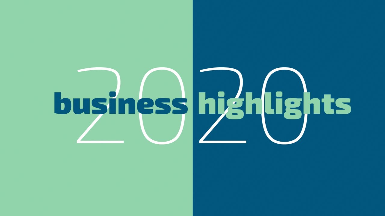 Our 2020 business highlights