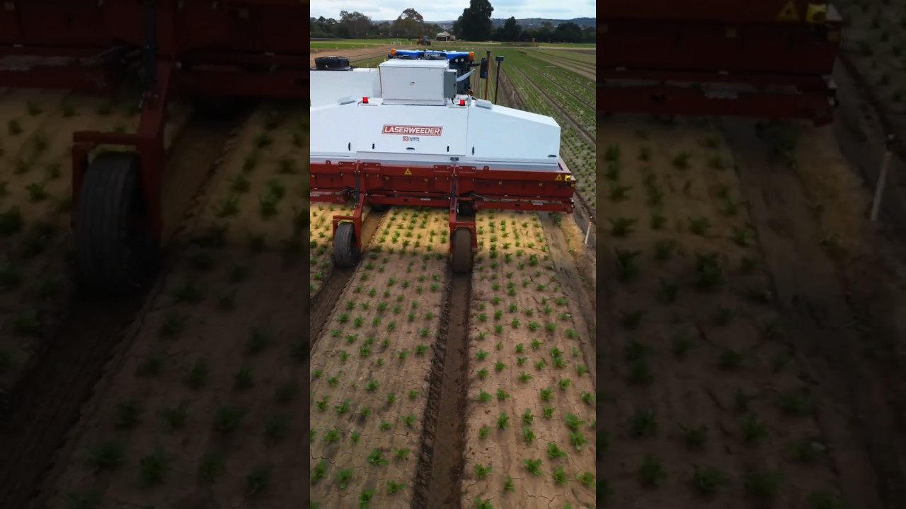 Laser Weeding Robot Transforming Modern Farming With Precision Technology