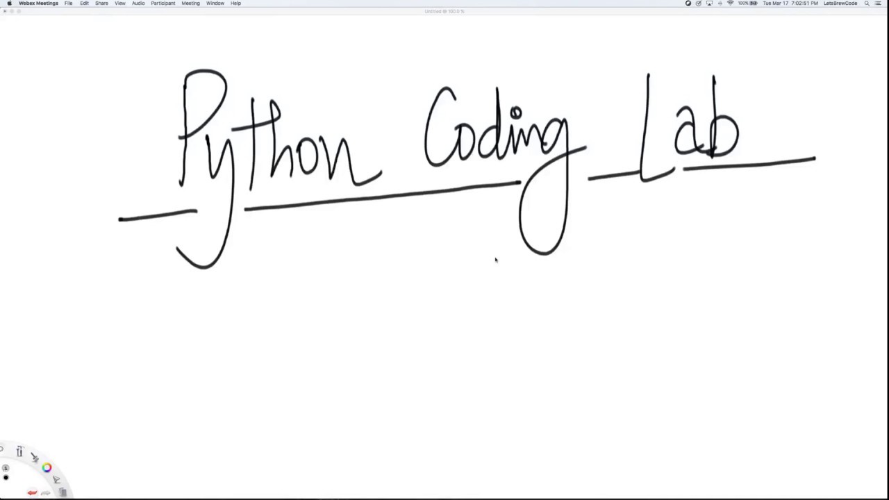 Python Coding Lab #1