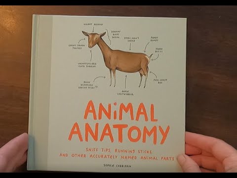 Animal Anatomy: Sniff Tips, Running Sticks, and Other Accurately Named Animal Parts Sophie Corrigan