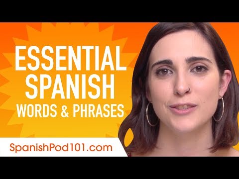 Essential Spanish Words and Phrases to Sound Like a Native