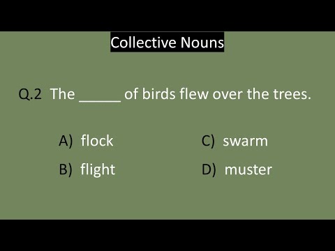 Collective Nouns Questions with Answers | English Grammar Quiz |