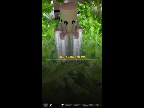 CCSA Climate-Smart Agriculture Project in Anguilla, Barbados and the Cayman Islands