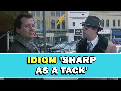 Idiom 'Sharp As A Tack' Meaning