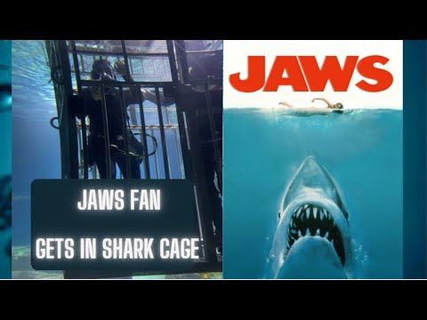 JAWS IS HIS FAVORITE HORROR MOVIE - HE GETS INTO A SHARK TANK !