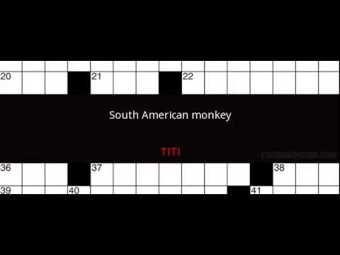 South American monkey Crossword Clue Solution