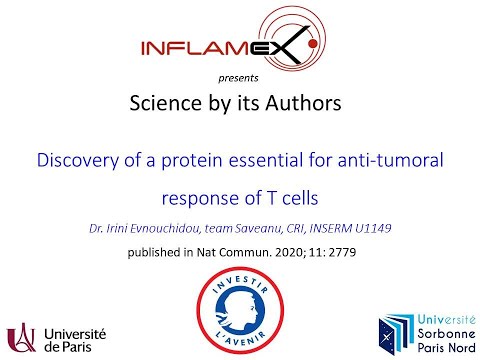 Science by its authors - Discovery of a protein essential for anti-tumoral response of T-cells