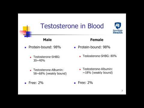Yusheng Zhu -Testosterone Testing Total, Free, and Bioavailable