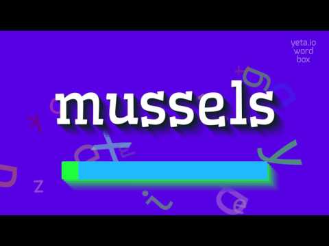 How to say "mussels"! (High Quality Voices)