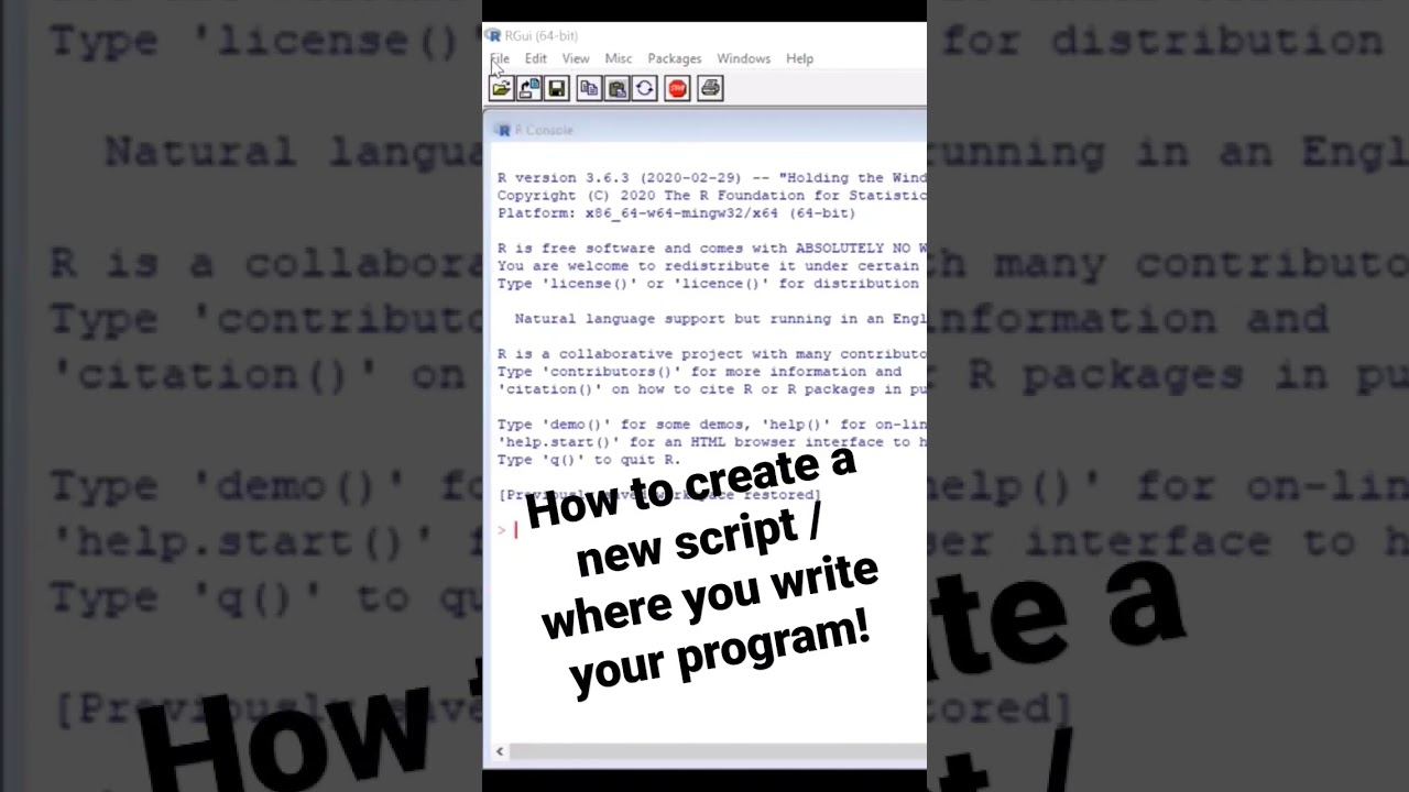 How to create a new script