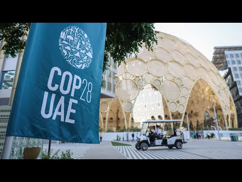 COP28: What to expect from the UN's high-stakes climate change summit