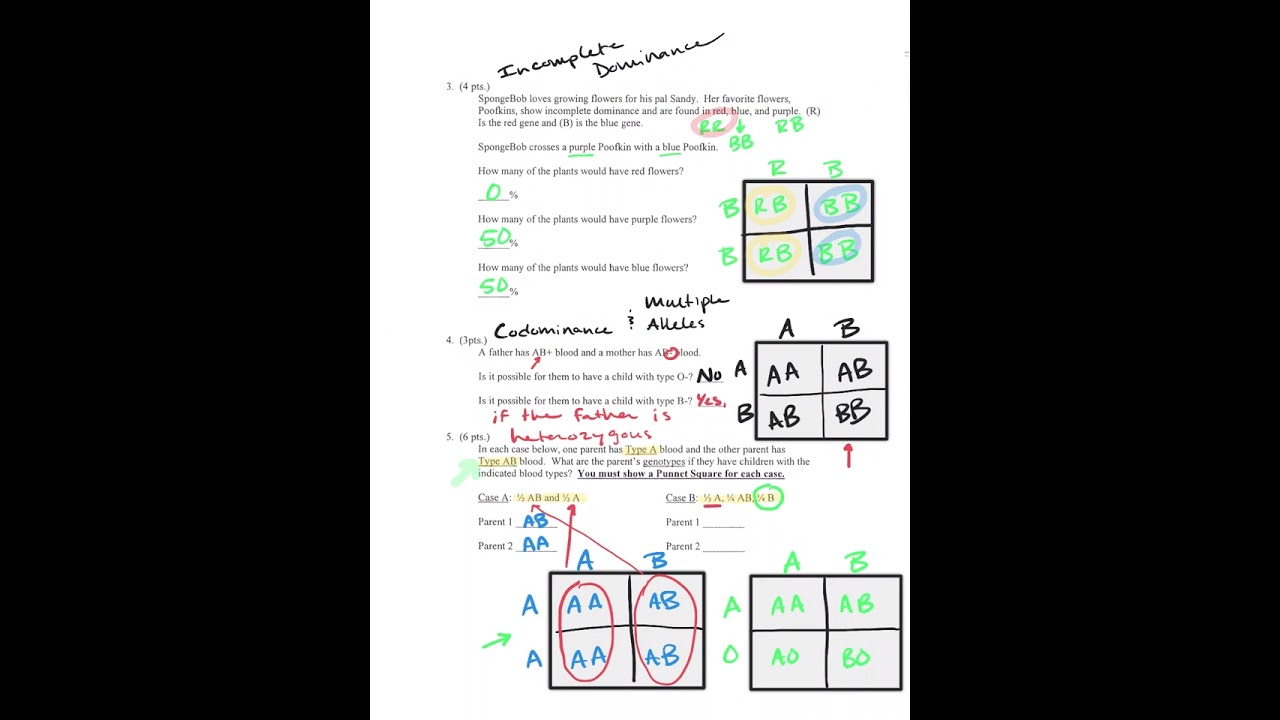 Punnet Square Test Review 1