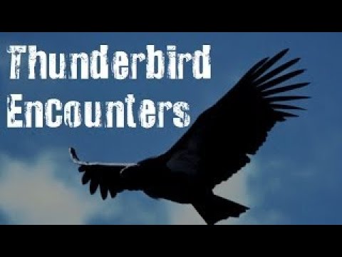 5 Mysterious Allegedly TRUE Thunderbird Stories