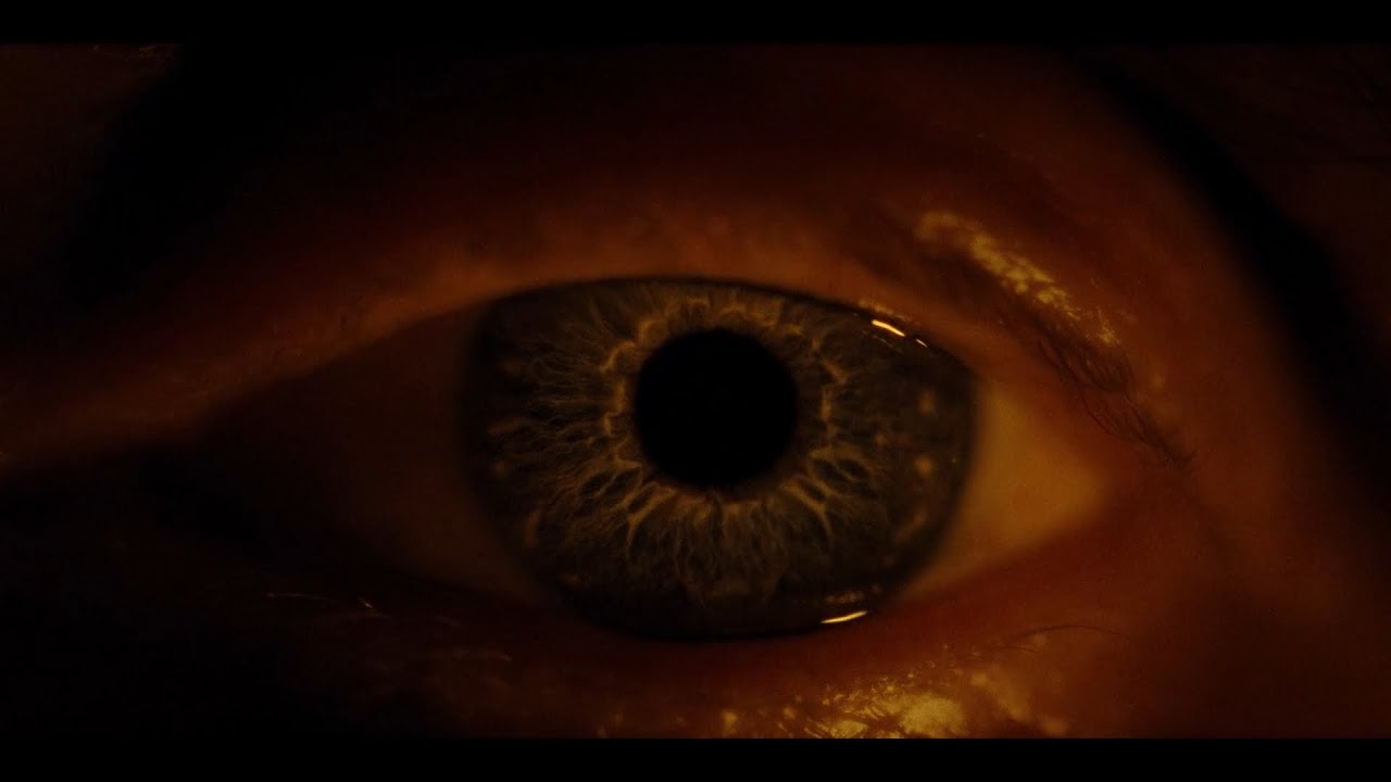 Guillermo Del Toro's Cabinet Of Curiosities: The Viewing by Panos Cosmatos - Fan trailer