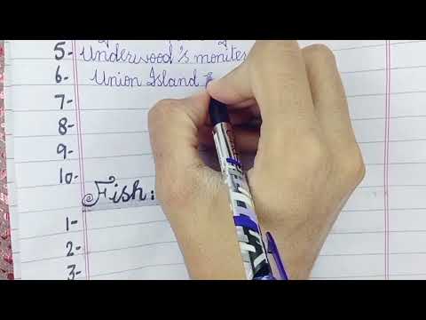 LESSON # 73 what animal starts with the letter U||U for animal name||wild animals name U||