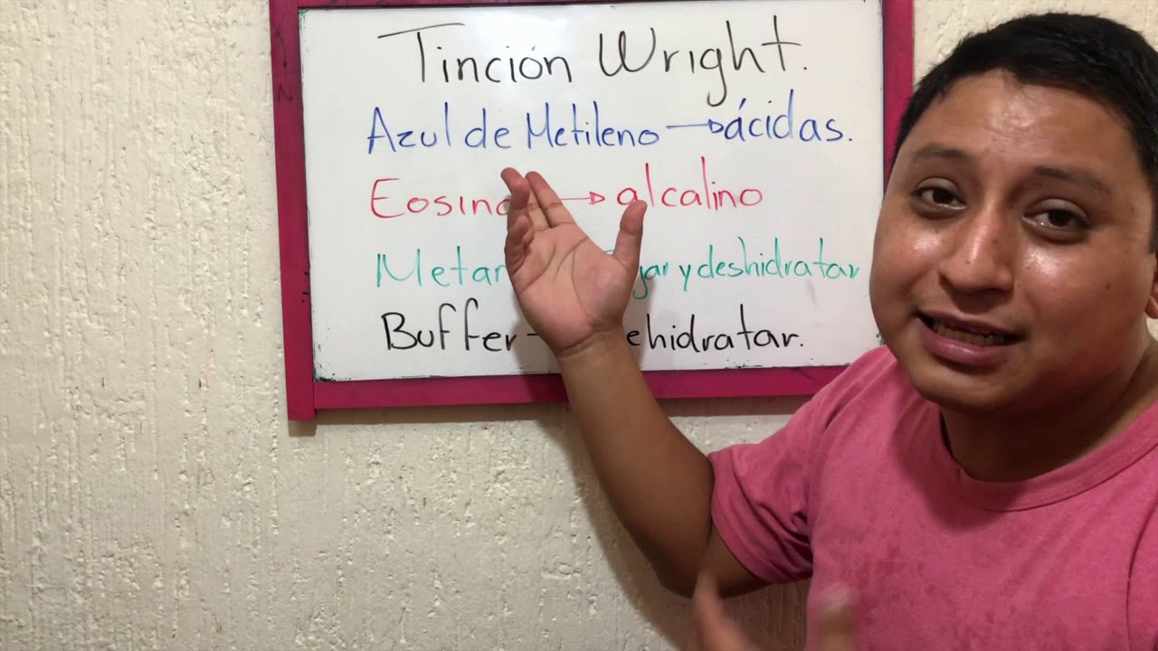 Tinción de wright
